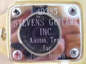 Stevens Guitars — Electric Guitars, Basses and Mandolins by Michael ...